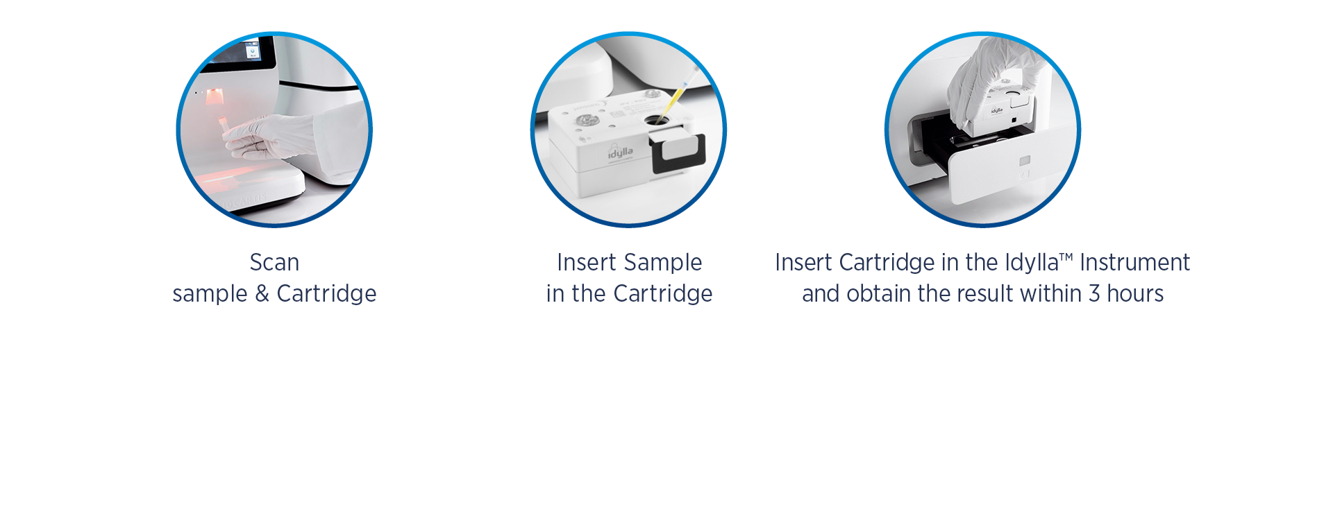 Idylla ThyroidPrint® Assay | Biocartis